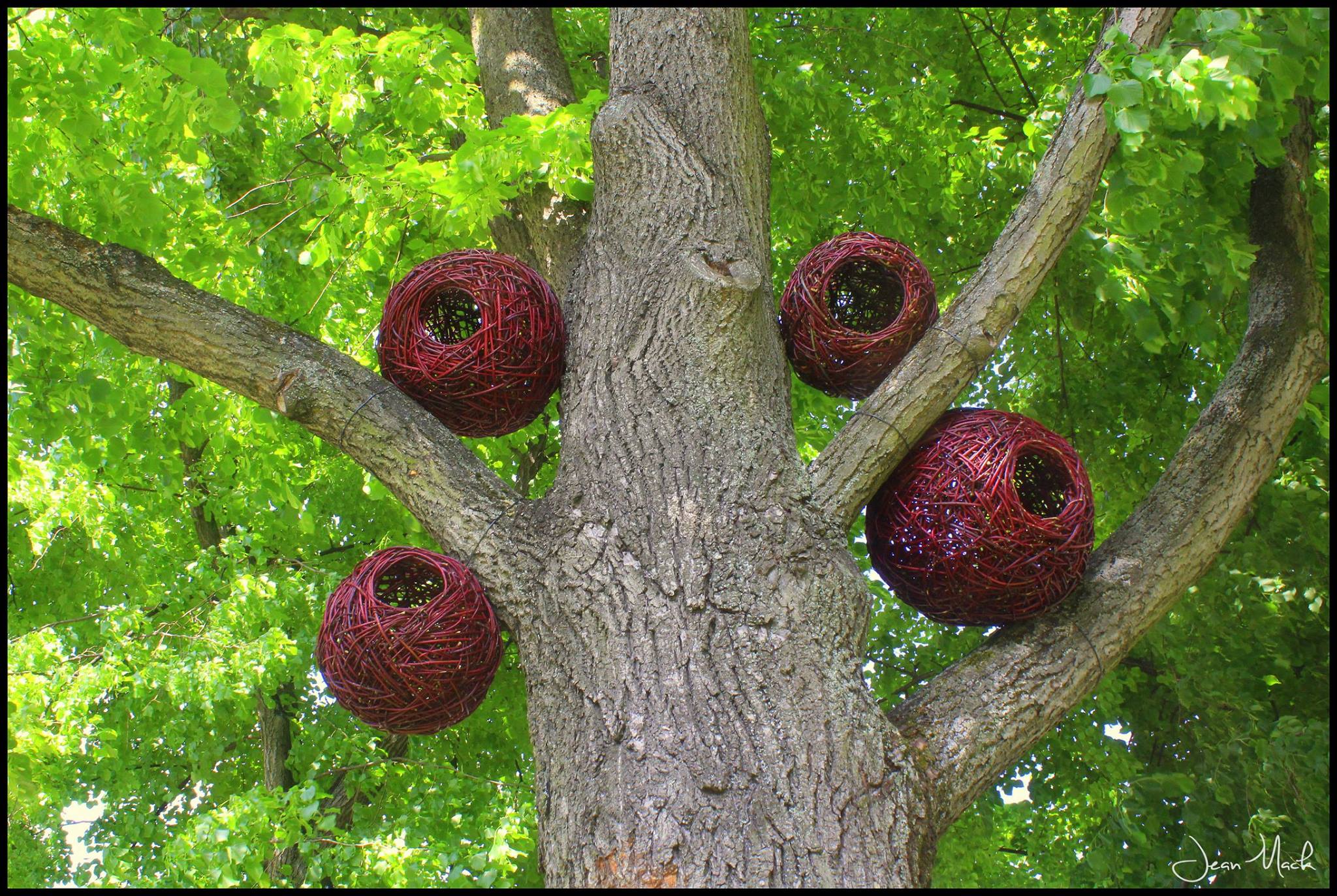 Königsmühle land and art setkání · Jean Macek