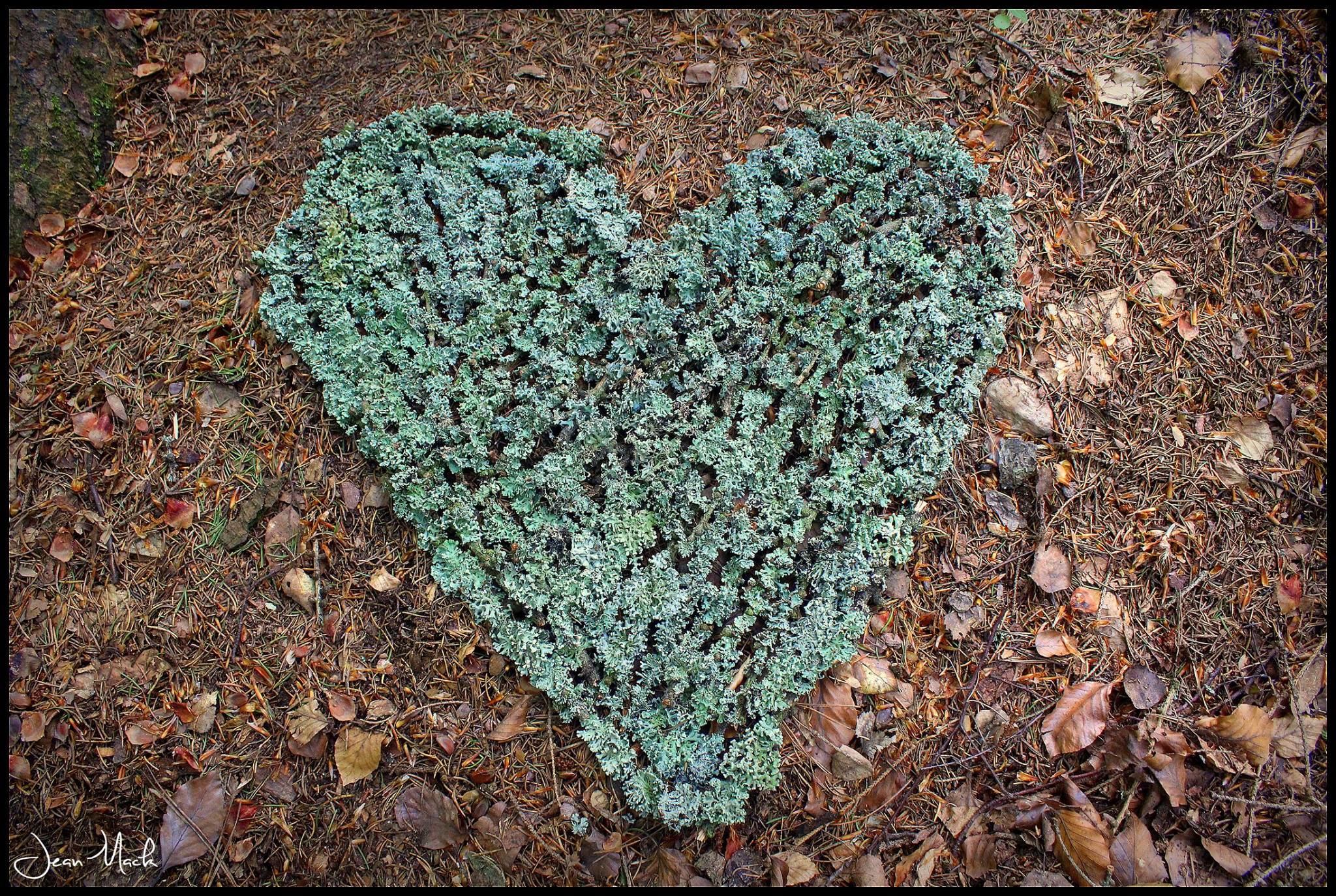 Königsmühle land and art setkání · Jean Macek